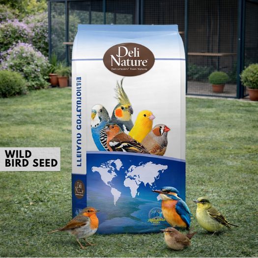 Beyers Deli Nature 94 Wild Bird Seed 1kg/15kg – Pet Source UK